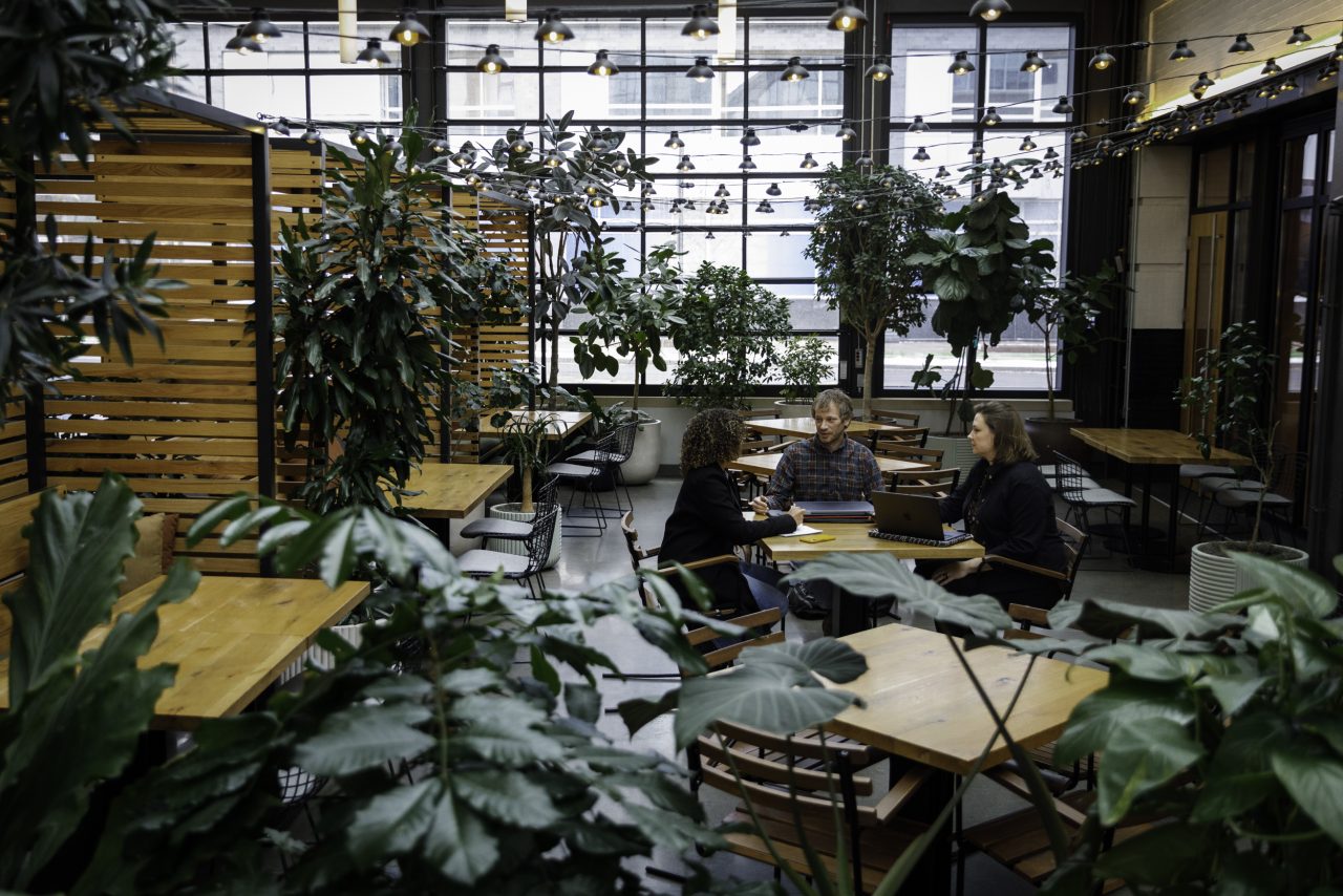 Jason Tigano - Level